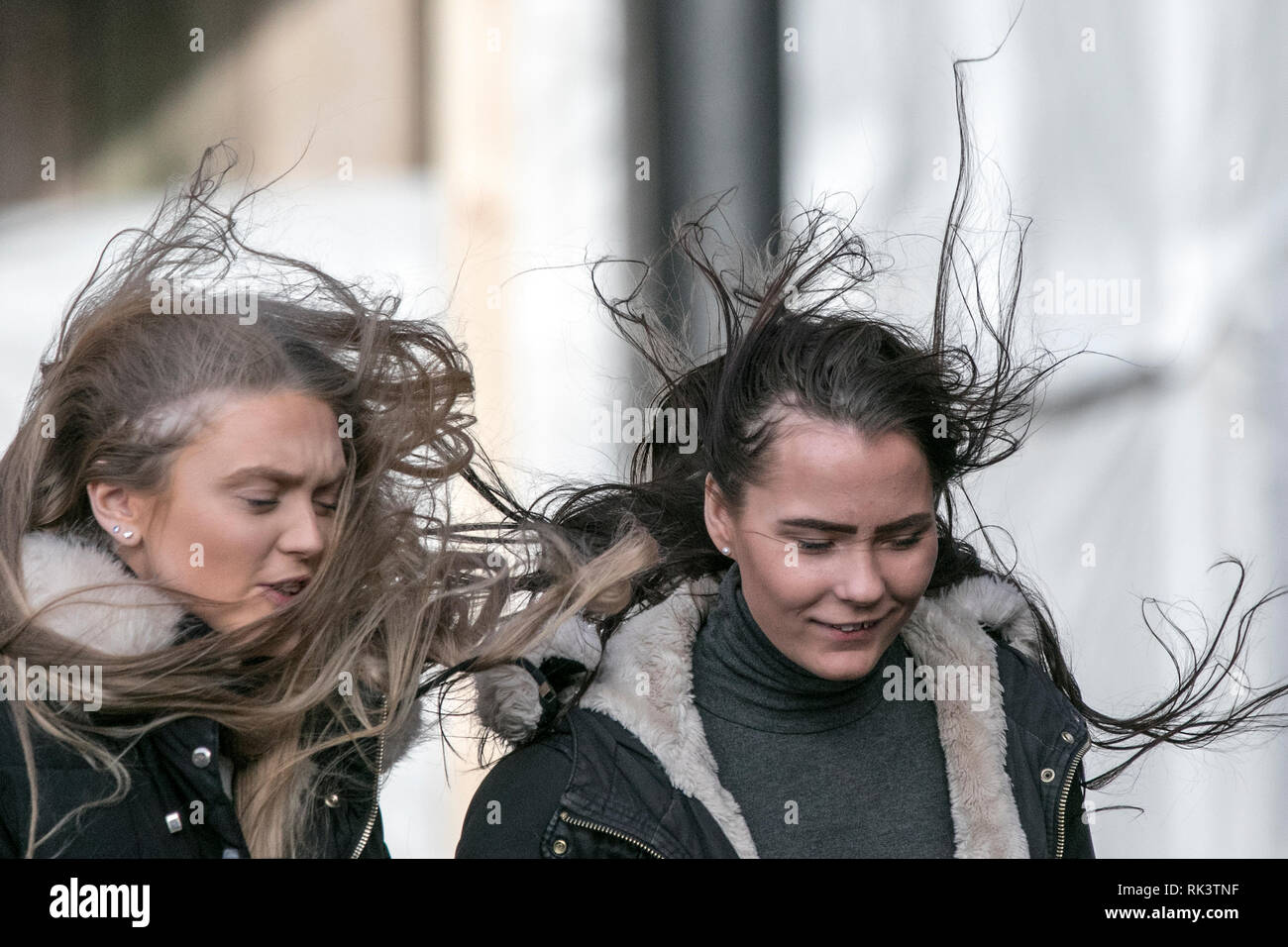 wind,hair,windswept,bad hair day,wind blown hair,long hair,female,face ...
