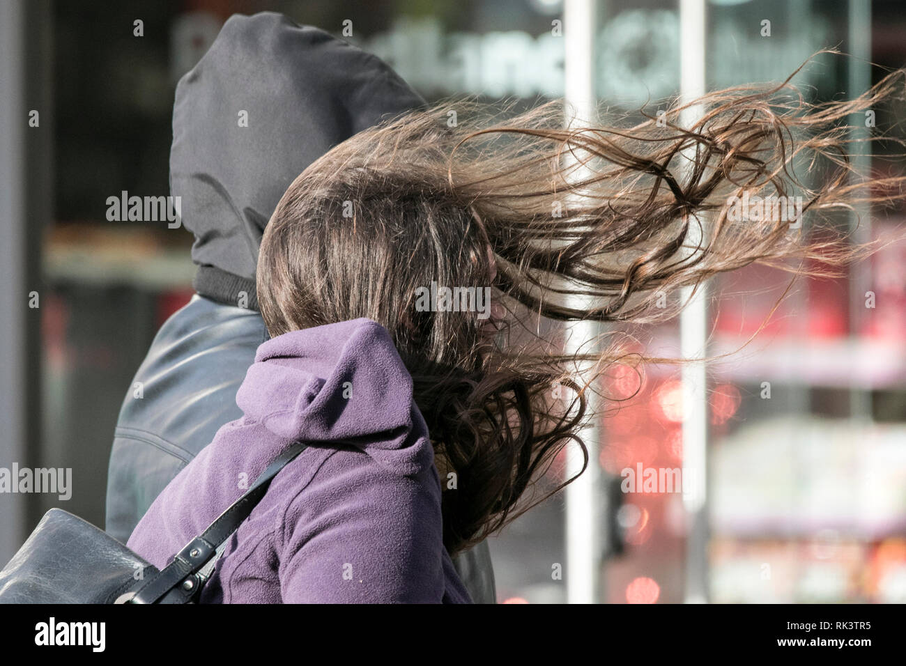 wind,hair,windswept,bad hair day,wind blown hair,long hair,female,face ...