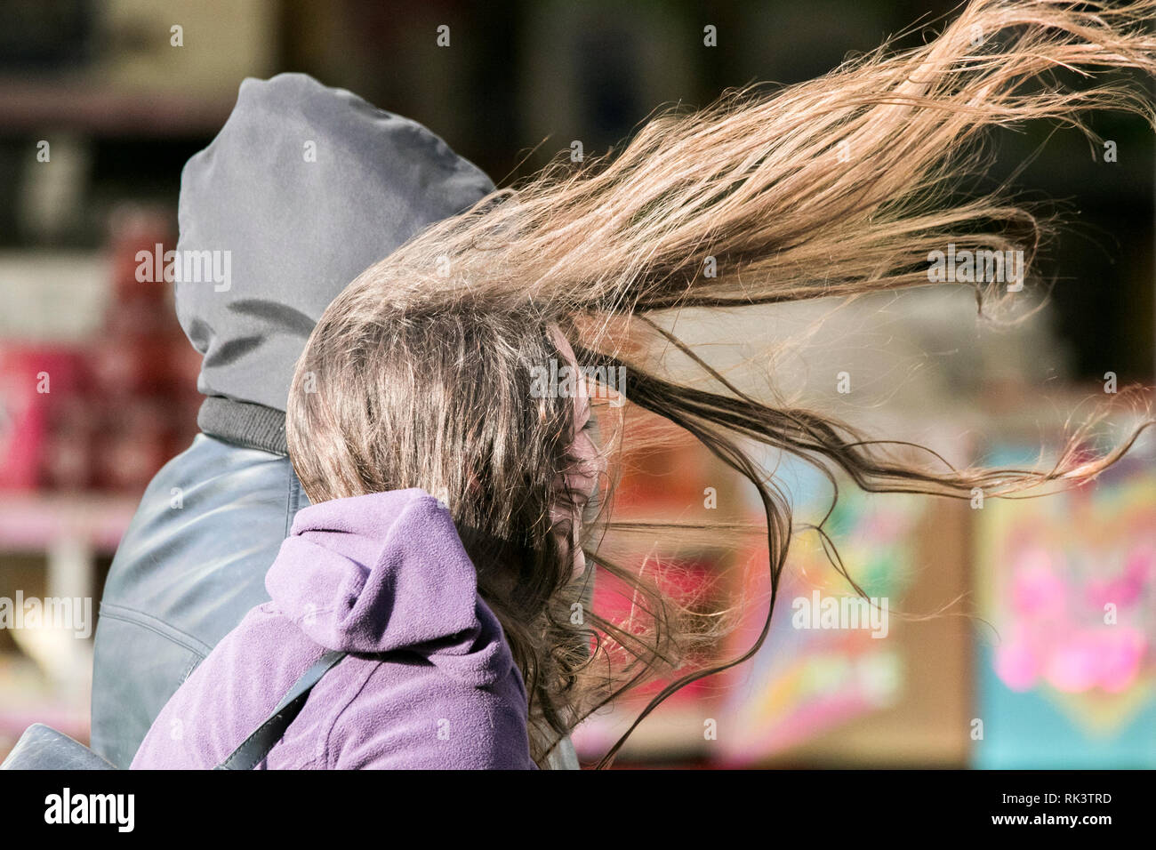 wind,hair,windswept,bad hair day,wind blown hair,long hair,female,face ...