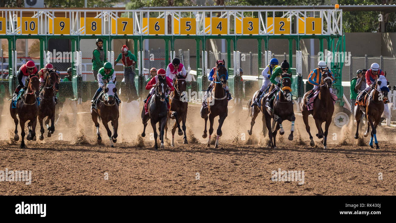 Horse racing at King Khalid Racetrack, Taif, Saudi Arabia. 23/06/2018 ...