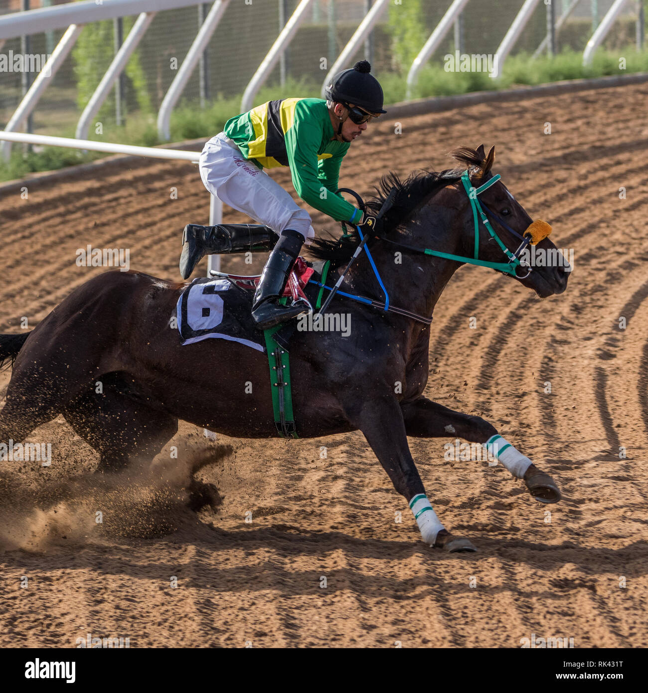 Horse racing at King Khalid Racetrack, Taif, Saudi Arabia. 23/06/2018 ...