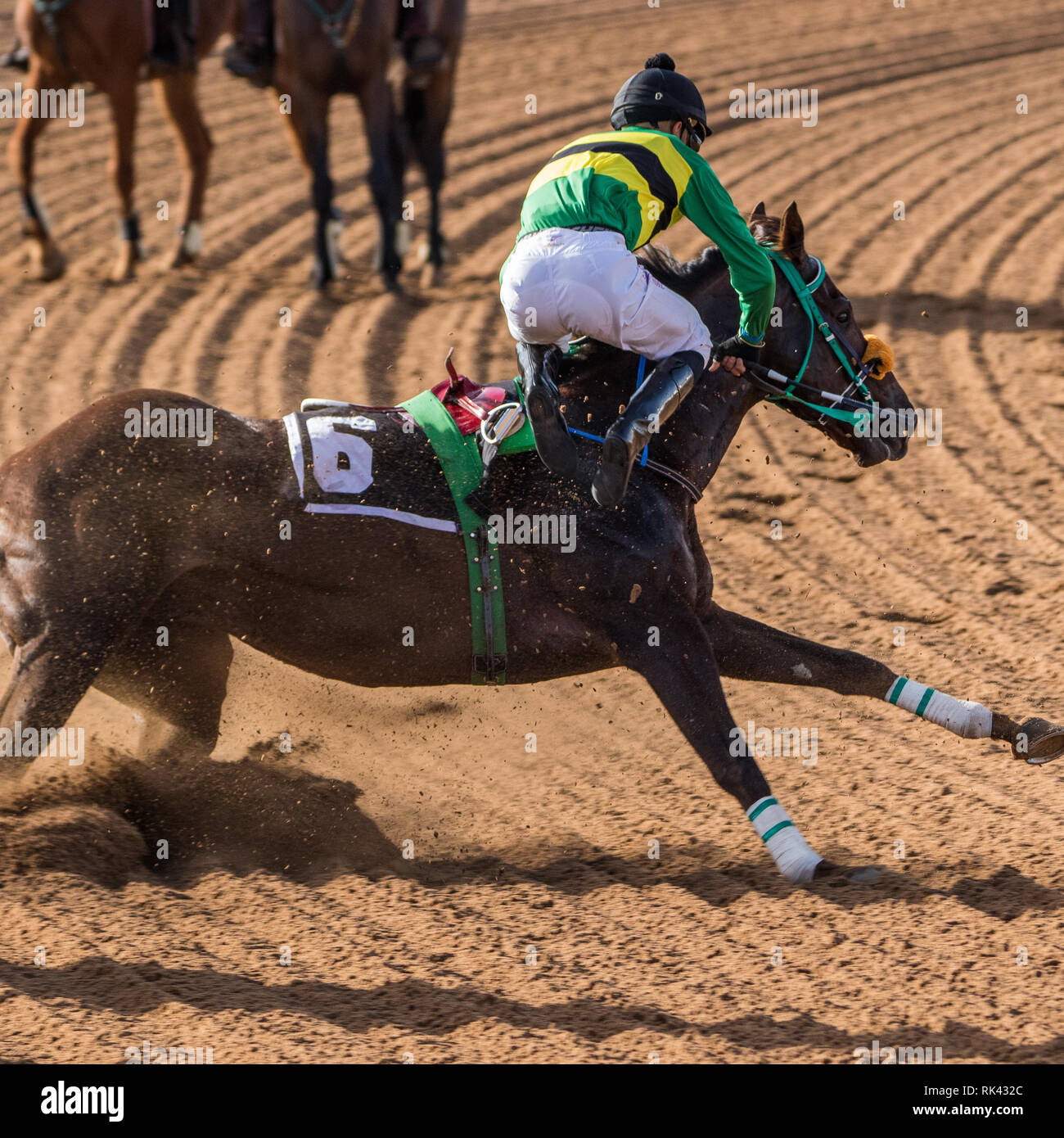 Horse racing at King Khalid Racetrack, Taif, Saudi Arabia. 23/06/2018 ...