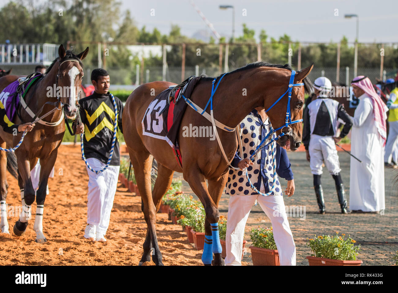 Horse racing at King Khalid Racetrack, Taif, Saudi Arabia. 23/06/2018 ...