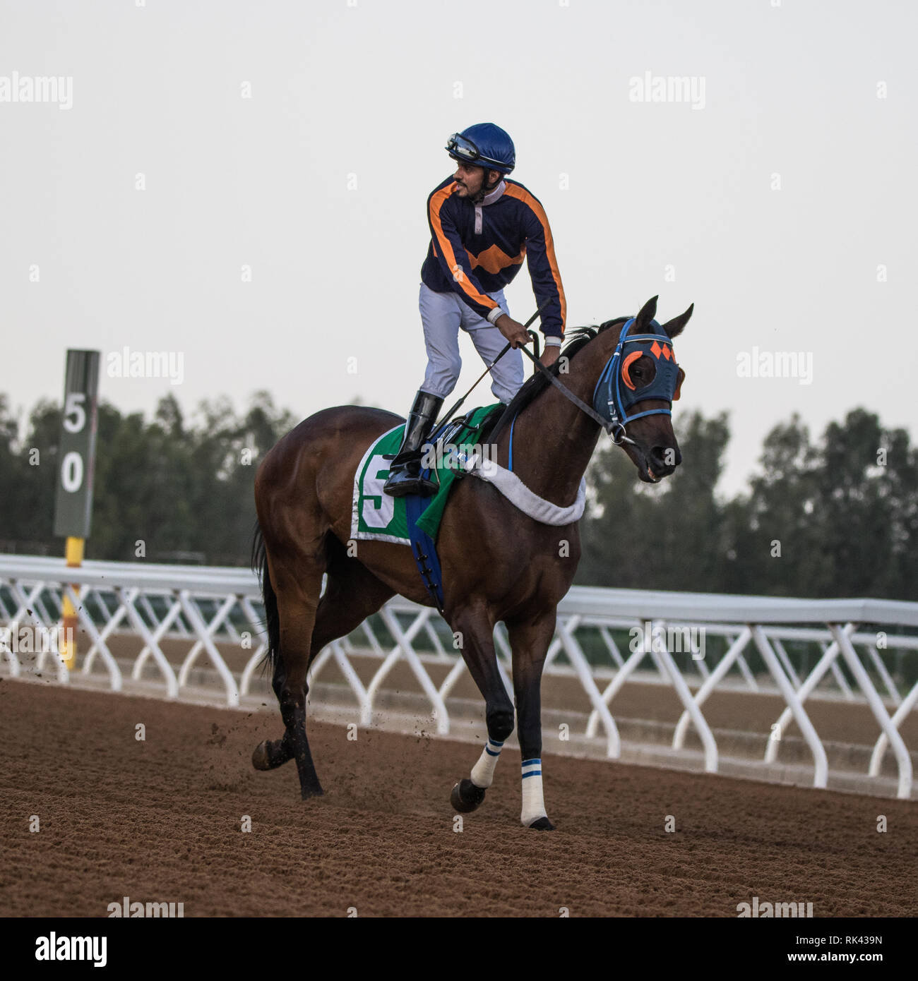 Horse racing at King Khalid Racetrack, Taif, Saudi Arabia. 23/06/2018 ...