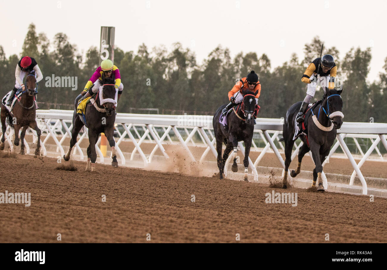 Horse racing at King Khalid Racetrack, Taif, Saudi Arabia. 23/06/2018 ...