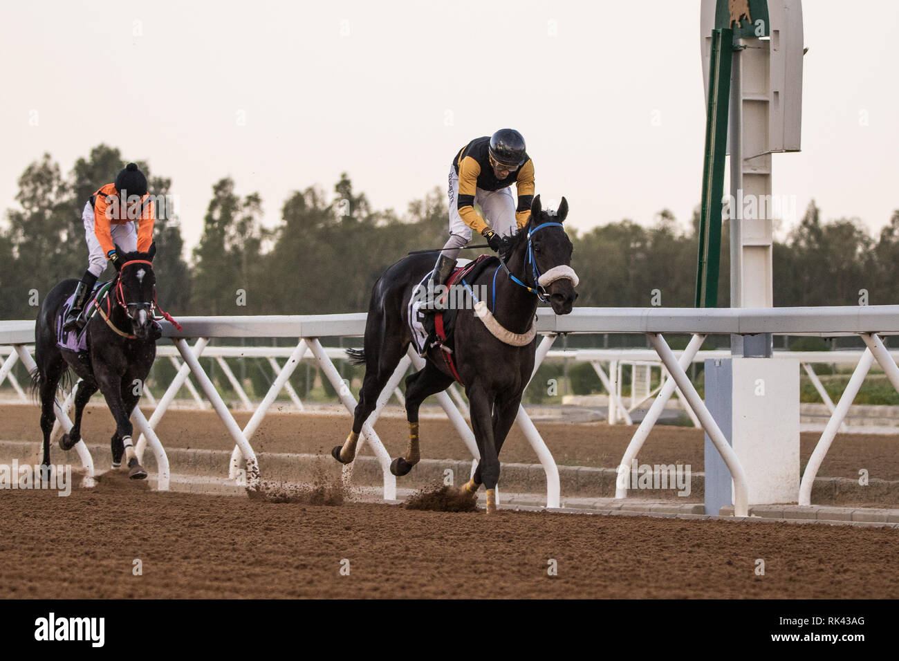 Horse racing at King Khalid Racetrack, Taif, Saudi Arabia. 23/06/2018 ...