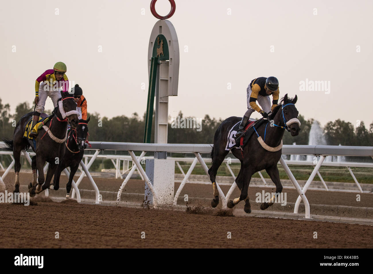 Horse racing at King Khalid Racetrack, Taif, Saudi Arabia. 23/06/2018 ...