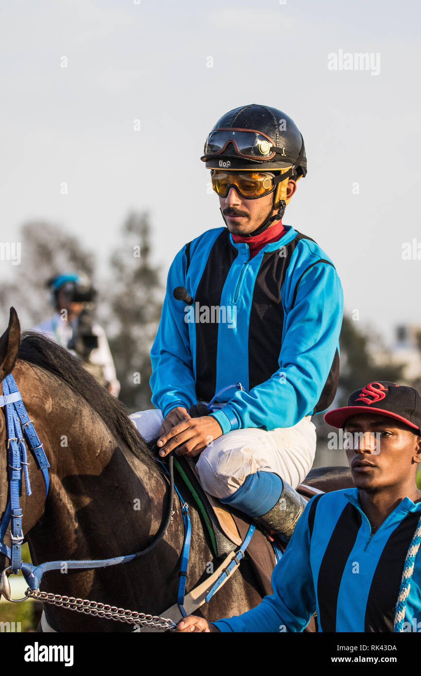 Horse racing at King Khalid Racetrack, Taif, Saudi Arabia. 23/06/2018 ...