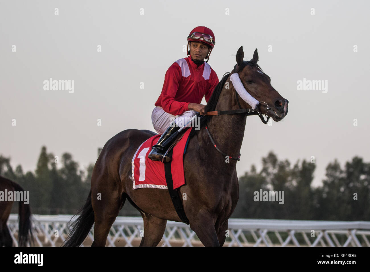 Horse racing at King Khalid Racetrack, Taif, Saudi Arabia. 23/06/2018 ...