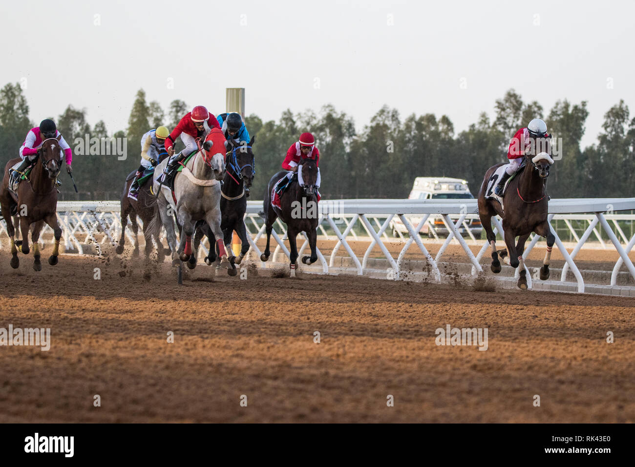 Horse racing at King Khalid Racetrack, Taif, Saudi Arabia. 23/06/2018 ...