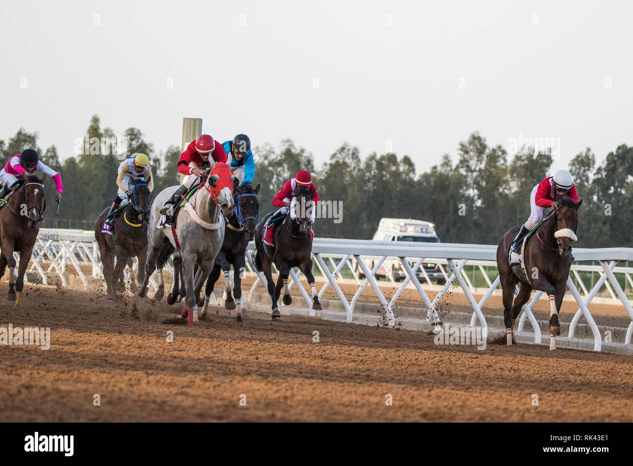 Horse racing at King Khalid Racetrack, Taif, Saudi Arabia. 23/06/2018 ...