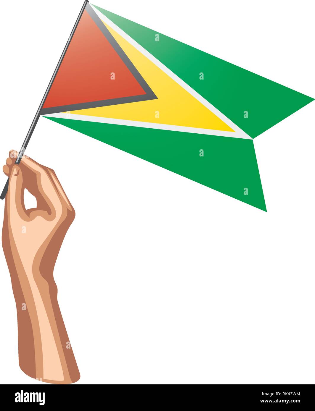Guyana flag and hand on white background. Vector illustration Stock Vector Image & Art - Alamy