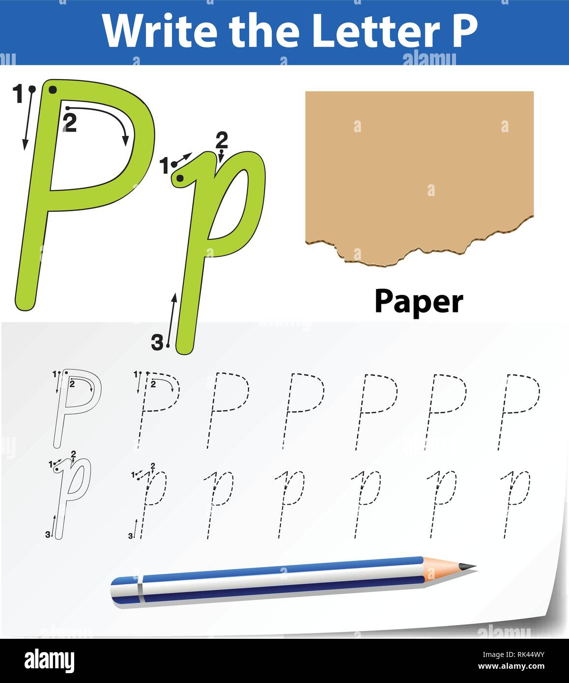 Letter P tracing alphabet worksheets illustration Stock Vector Image ...