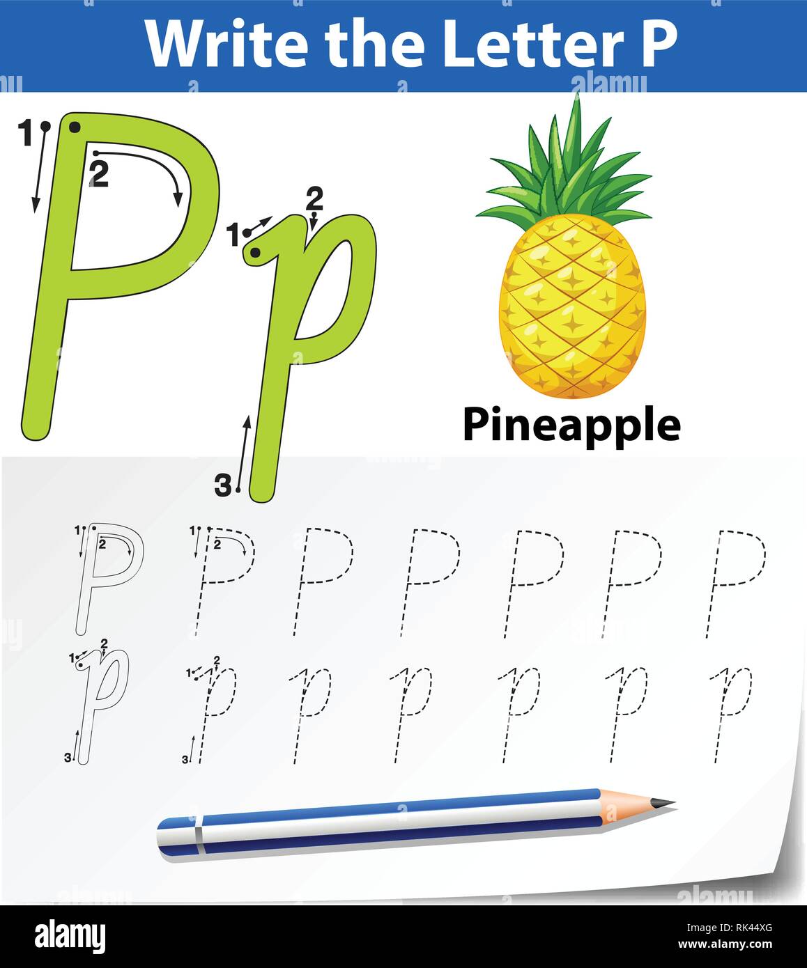 Letter P tracing alphabet worksheets illustration Stock Vector Image ...