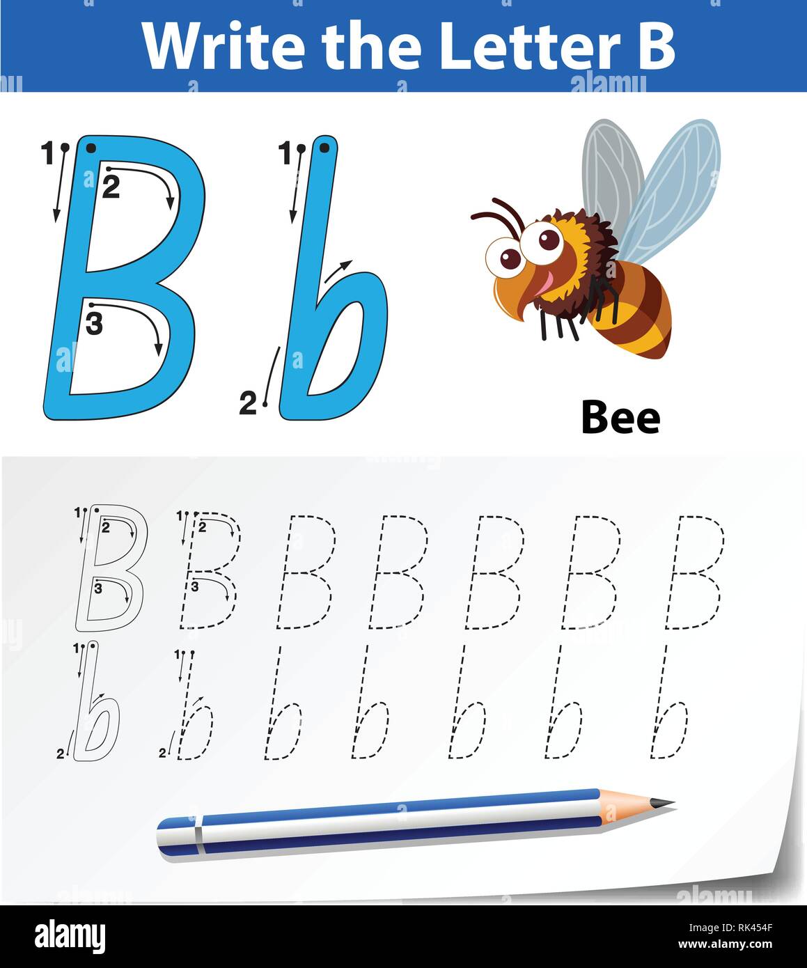 Letter B tracing alphabet worksheets illustration Stock Vector Image ...