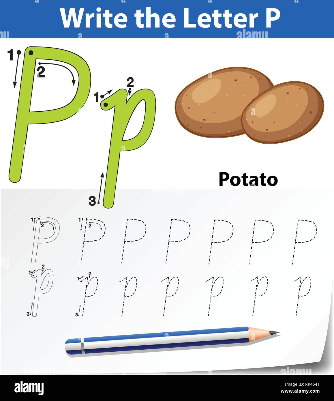 Letter P tracing alphabet worksheets illustration Stock Vector Image ...