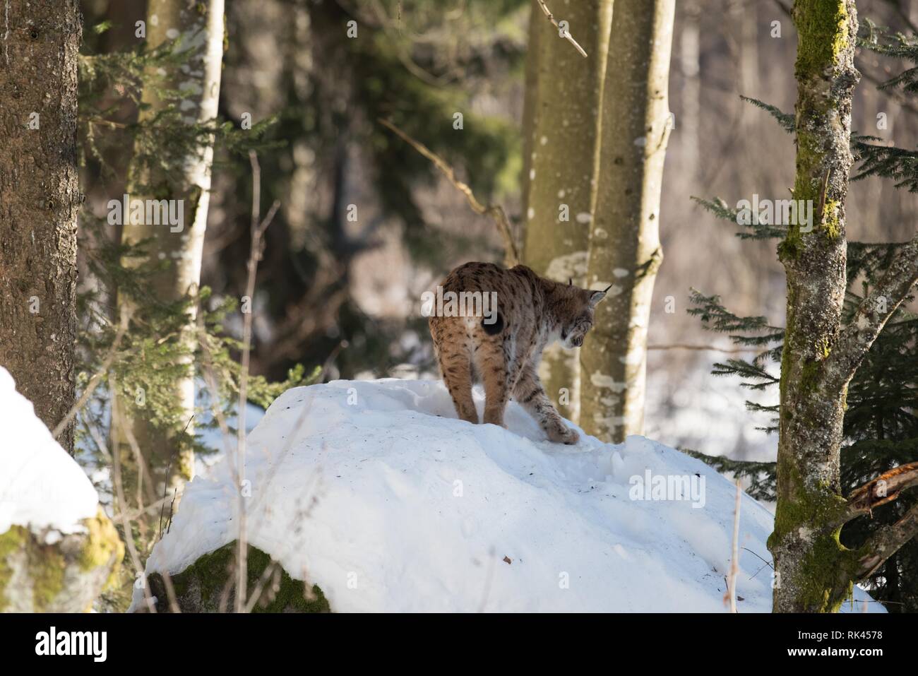 Potovanja hi-res stock photography and images - Alamy