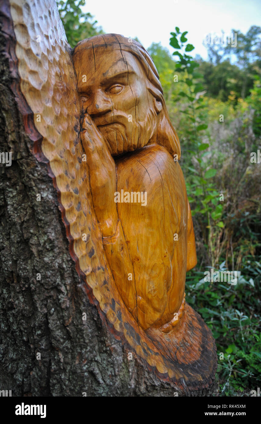 Sculpture carved in a tree trunk in woodland, Kent UK Stock Photo - Alamy