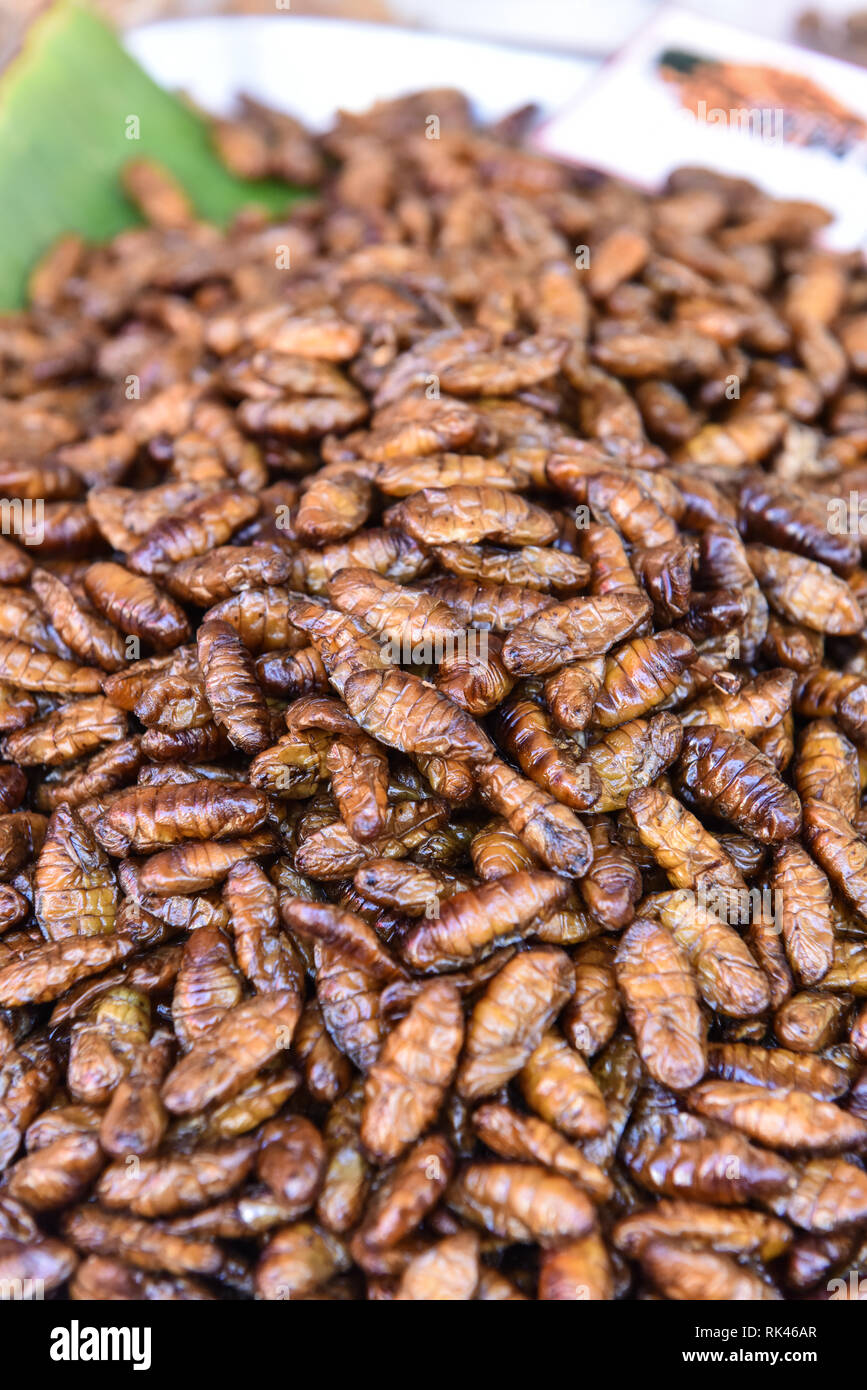 Food source for insects hi-res stock photography and images - Alamy
