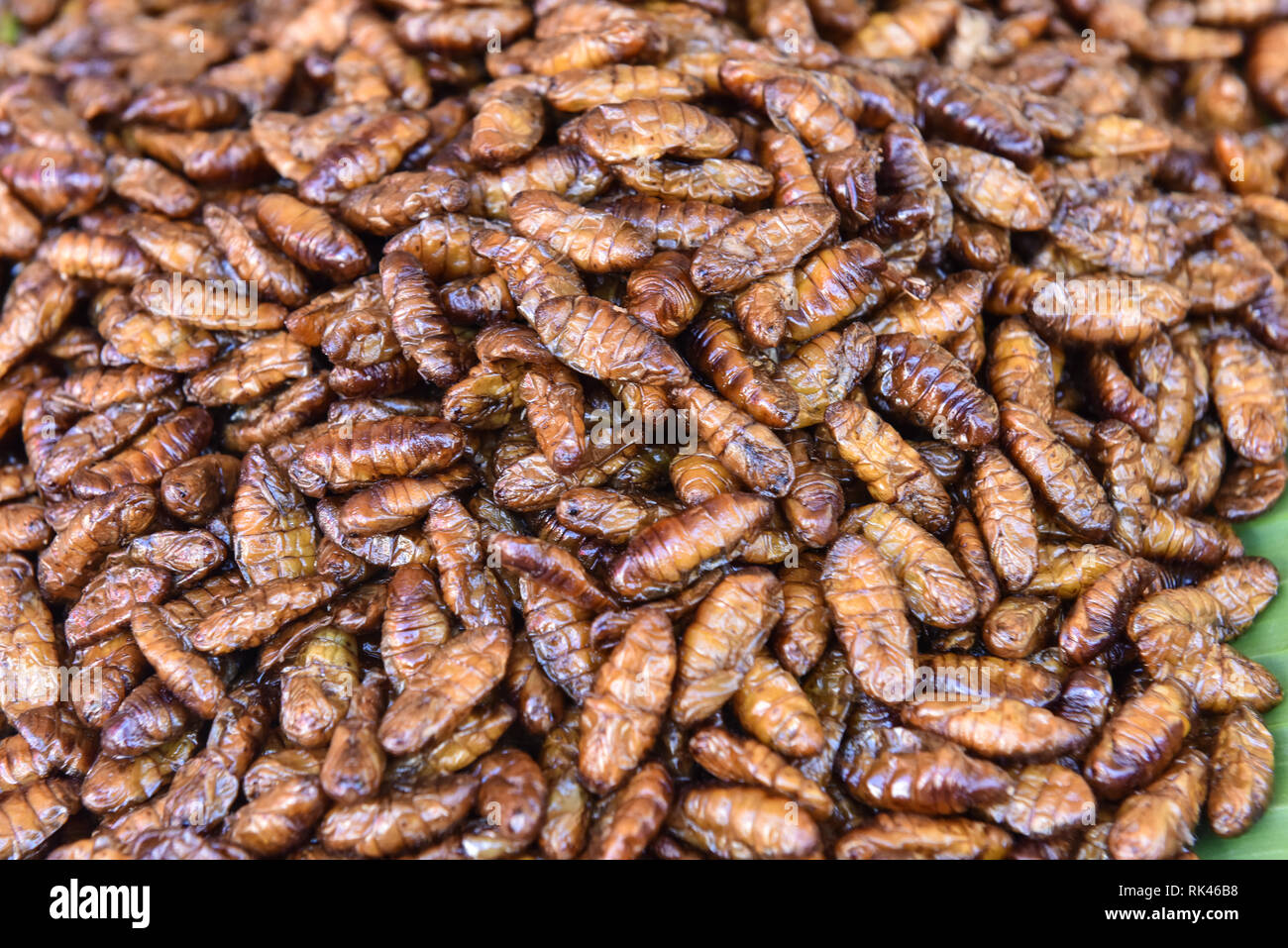 Fried insects snacks hi-res stock photography and images - Alamy