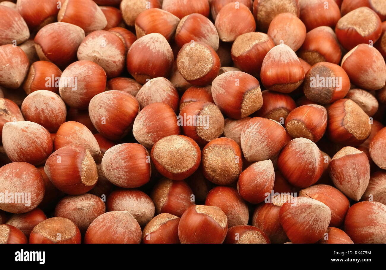 Pile of shelled nuts Stock Photo - Alamy