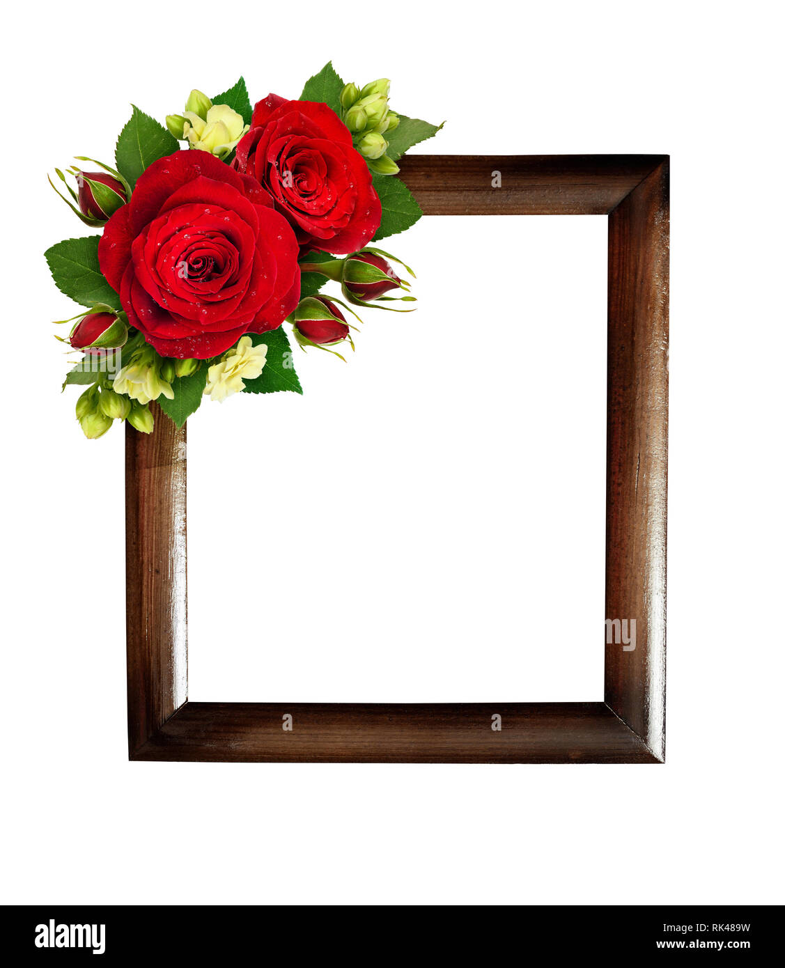 Bouvardia flowers Cut Out Stock Images & Pictures - Alamy