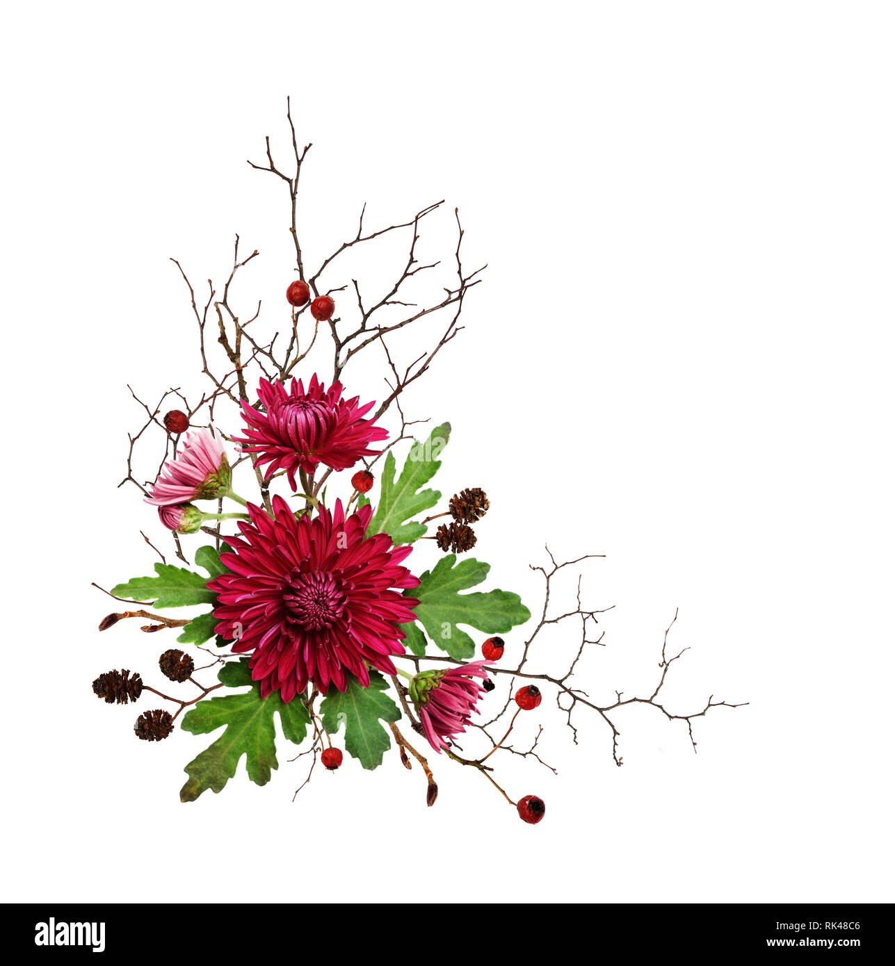 Purple chrysanthemum flowers and autumn dry twigs in a corner ...