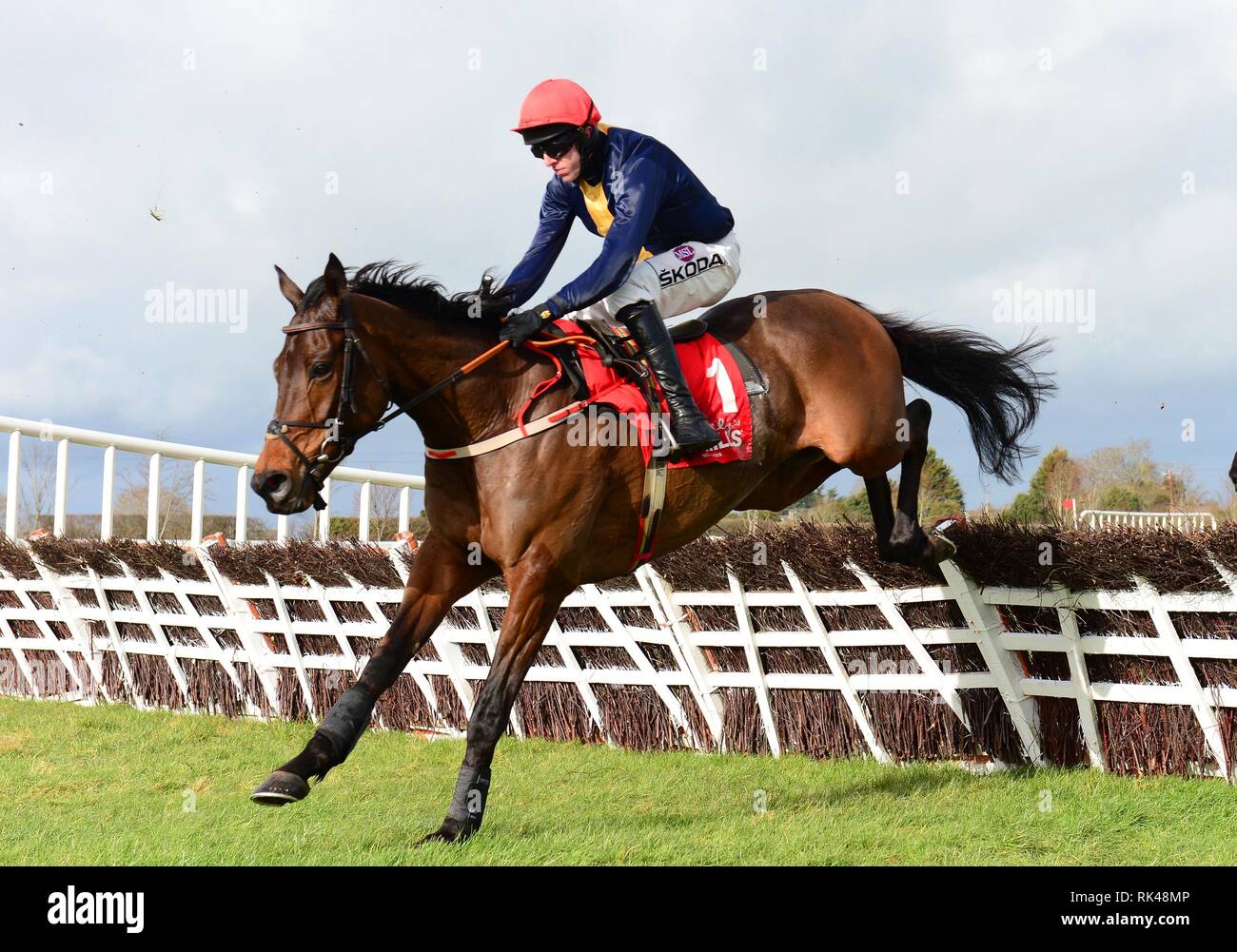 Novice mares hurdle hi-res stock photography and images - Alamy