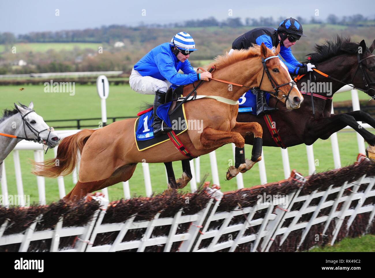 Robert colgan hi-res stock photography and images - Alamy