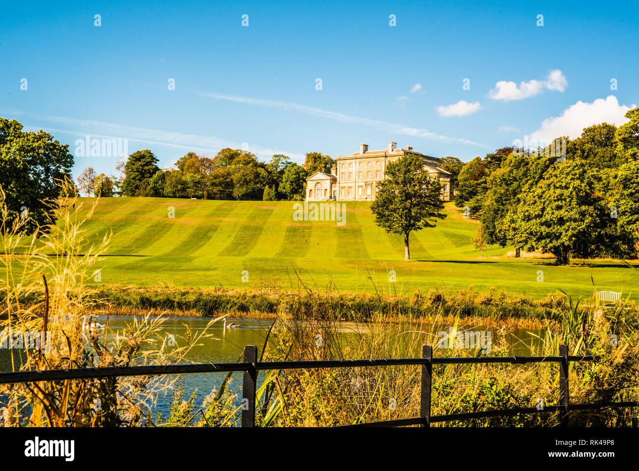 Bull rushes in hi-res stock photography and images - Alamy