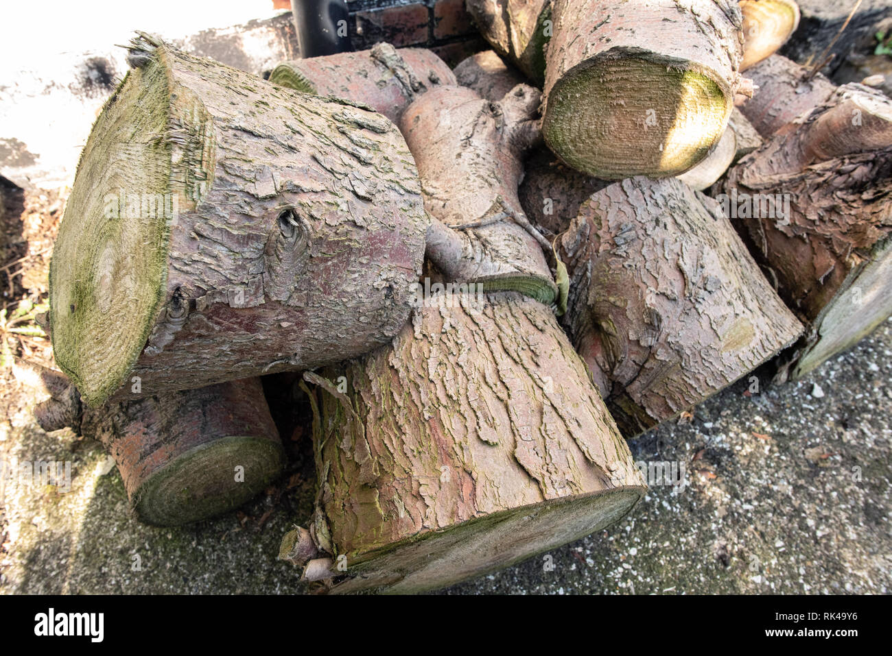 Uk sawn logs hi-res stock photography and images - Alamy