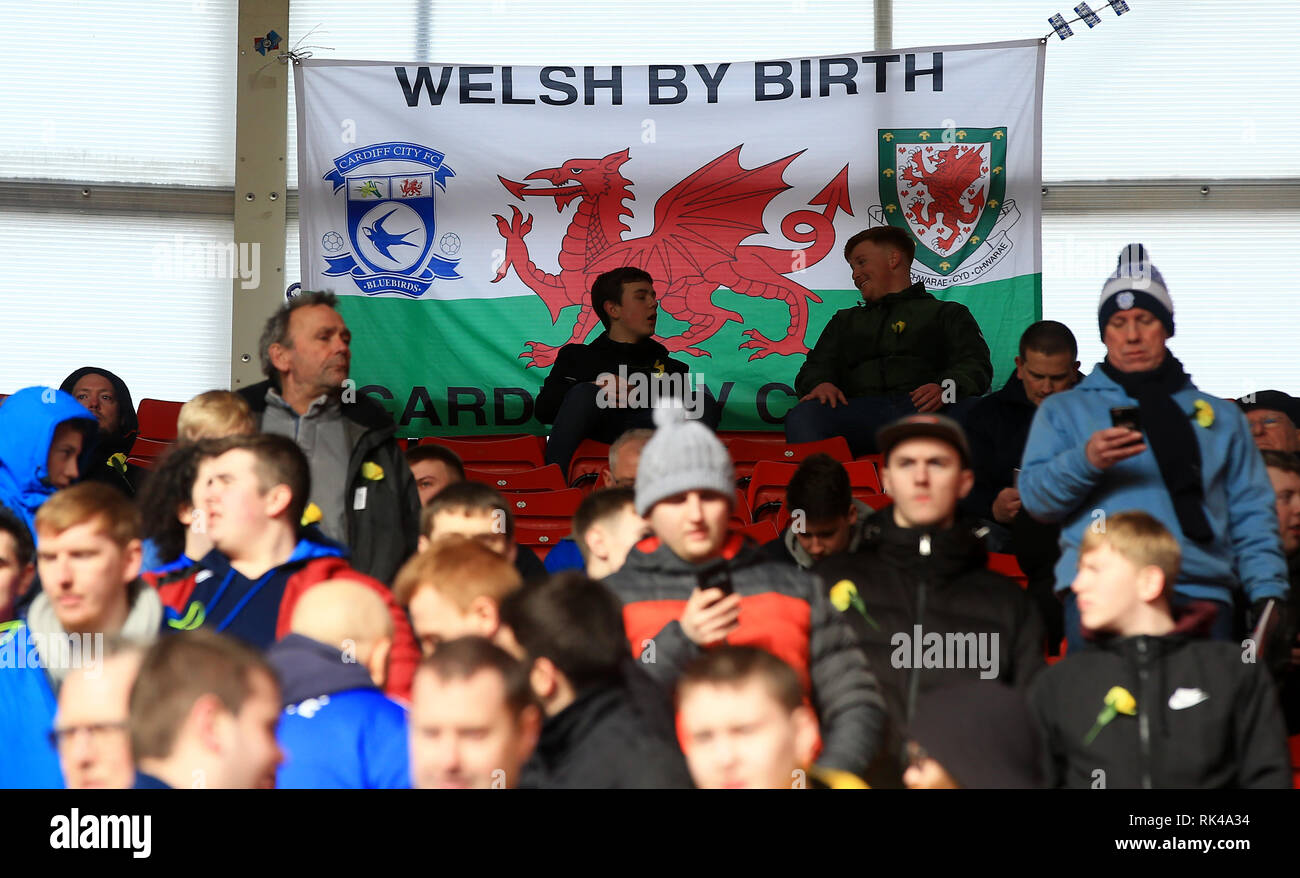 Welsh fans in the stands hi-res stock photography and images - Alamy