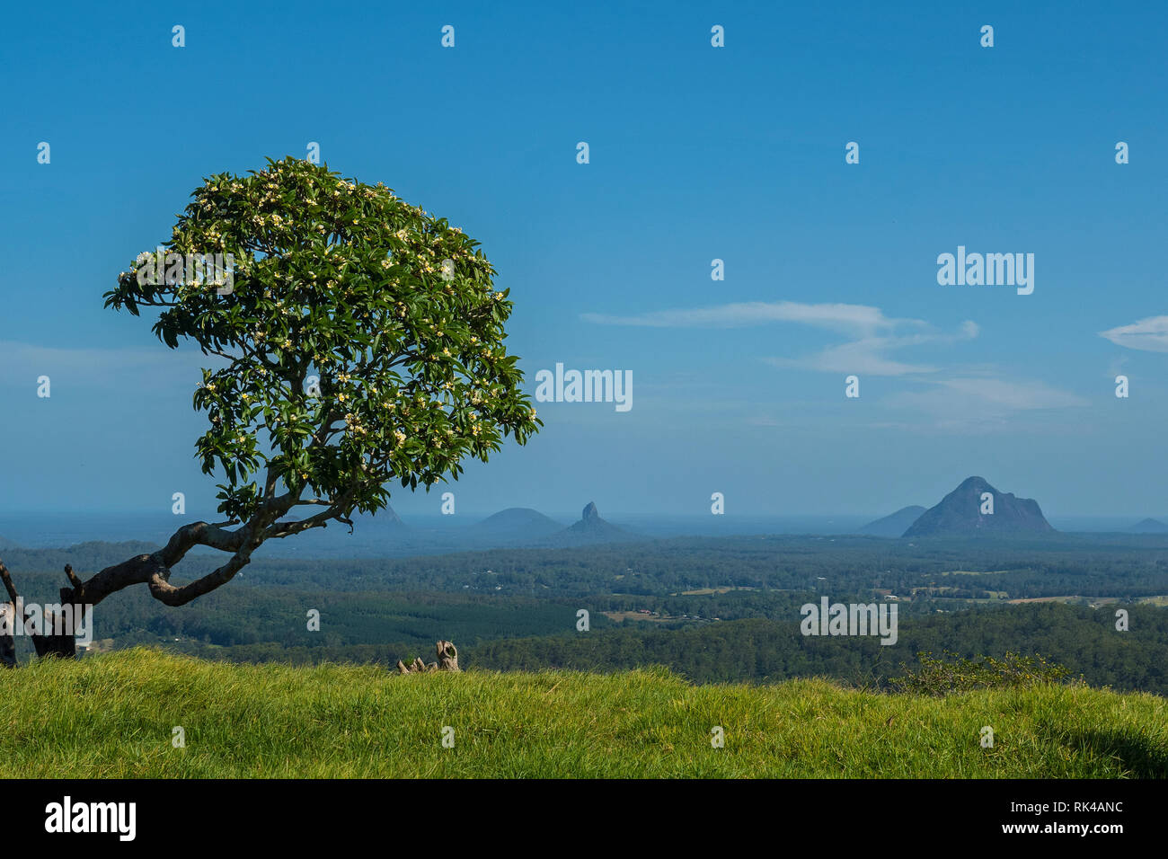 rural scene landscape brisbane queensland australia Stock Photo - Alamy