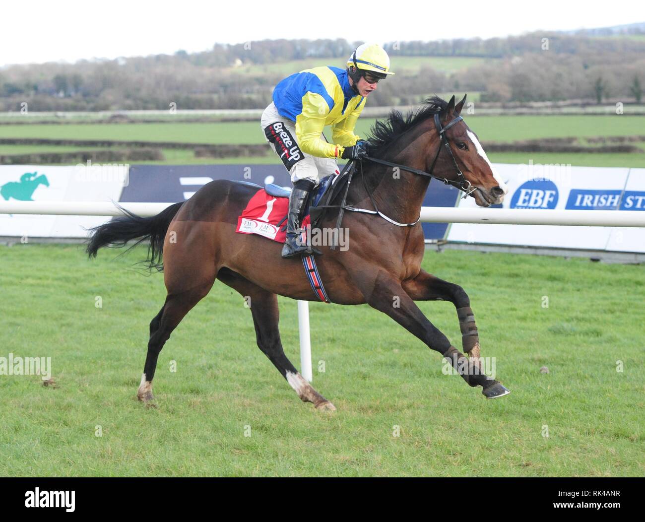 Band of Outlaws and J.J. Slevin win the EMS Copiers Rated Novice Hurdle ...
