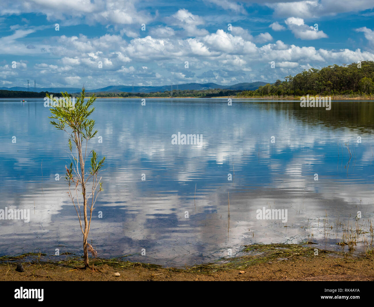 rural scene landscape brisbane queensland australia Stock Photo - Alamy