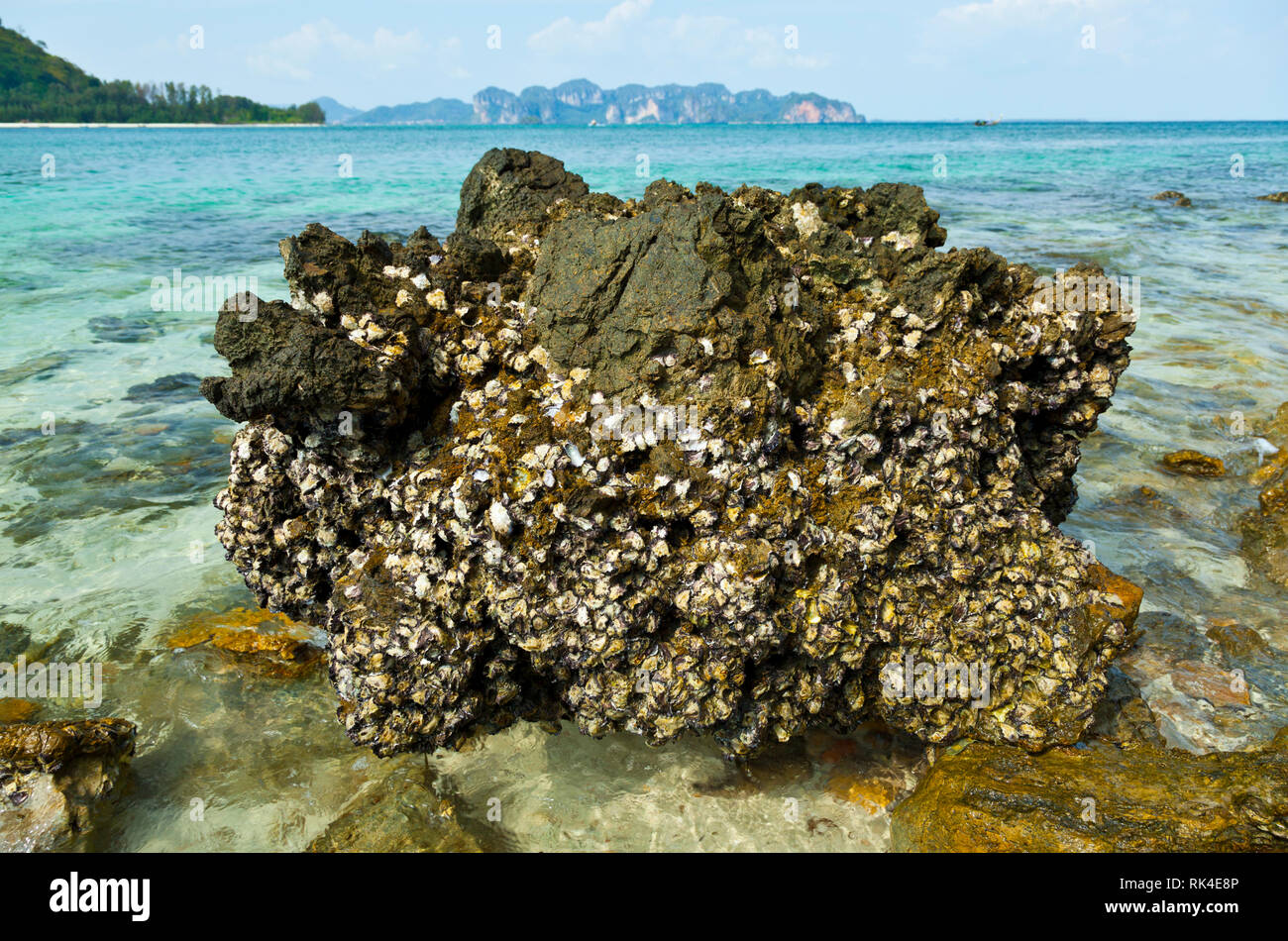 Tup Island. Krabi coast. Krabi province, Andaman Sea, Thailand, Asia ...