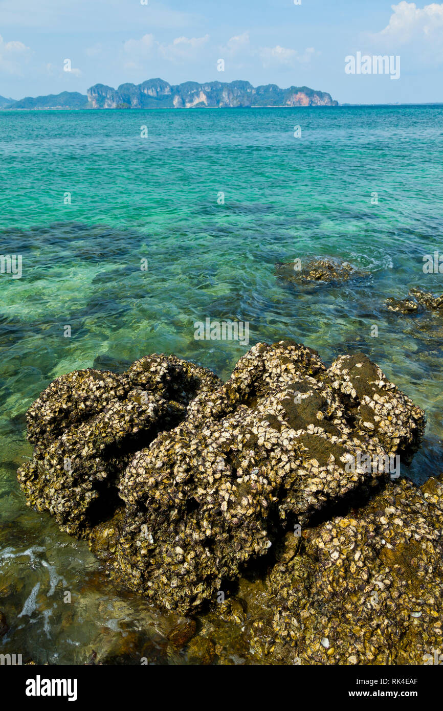 Tup Island. Krabi coast. Krabi province, Andaman Sea, Thailand, Asia ...