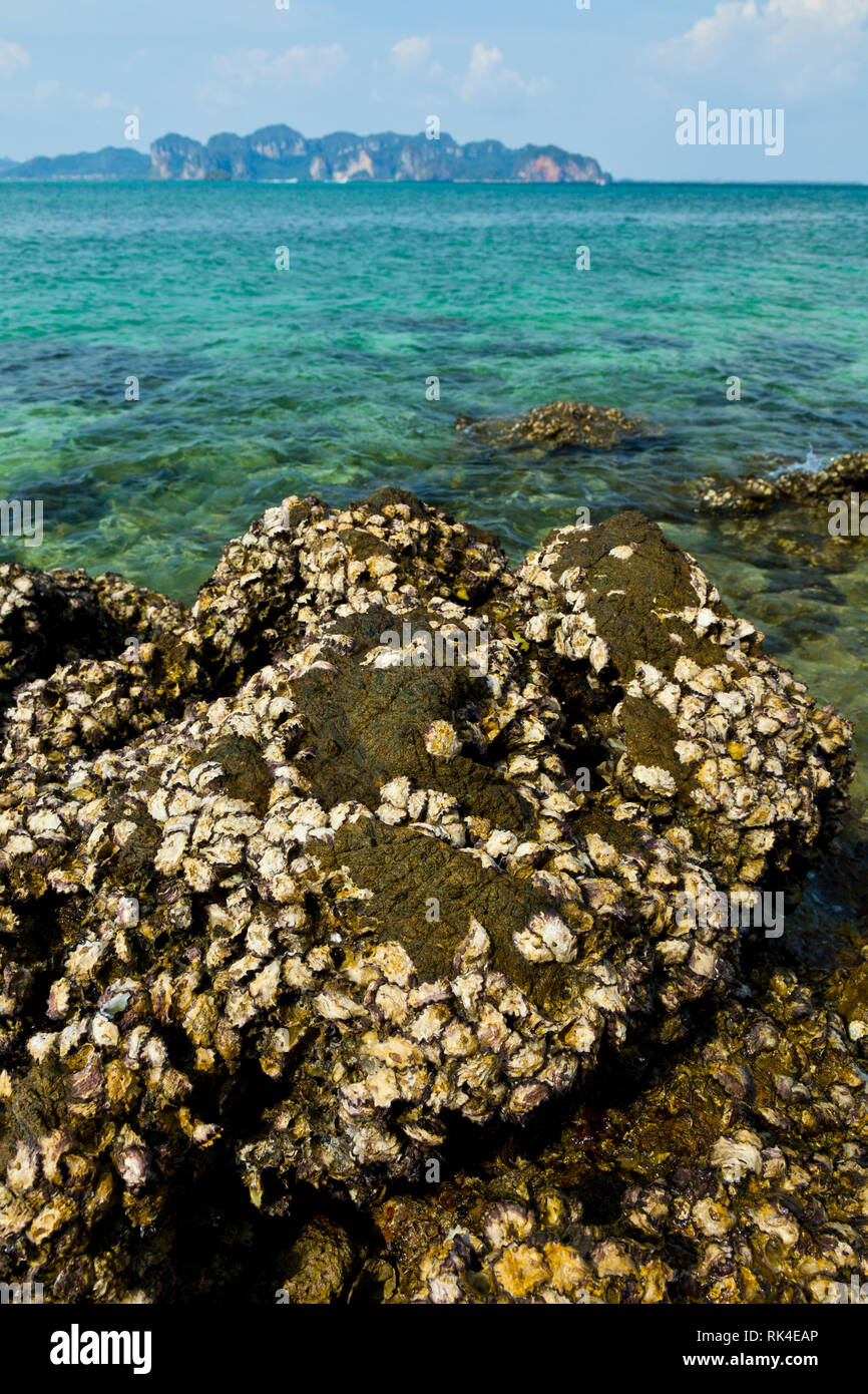 Tup Island. Krabi coast. Krabi province, Andaman Sea, Thailand, Asia ...