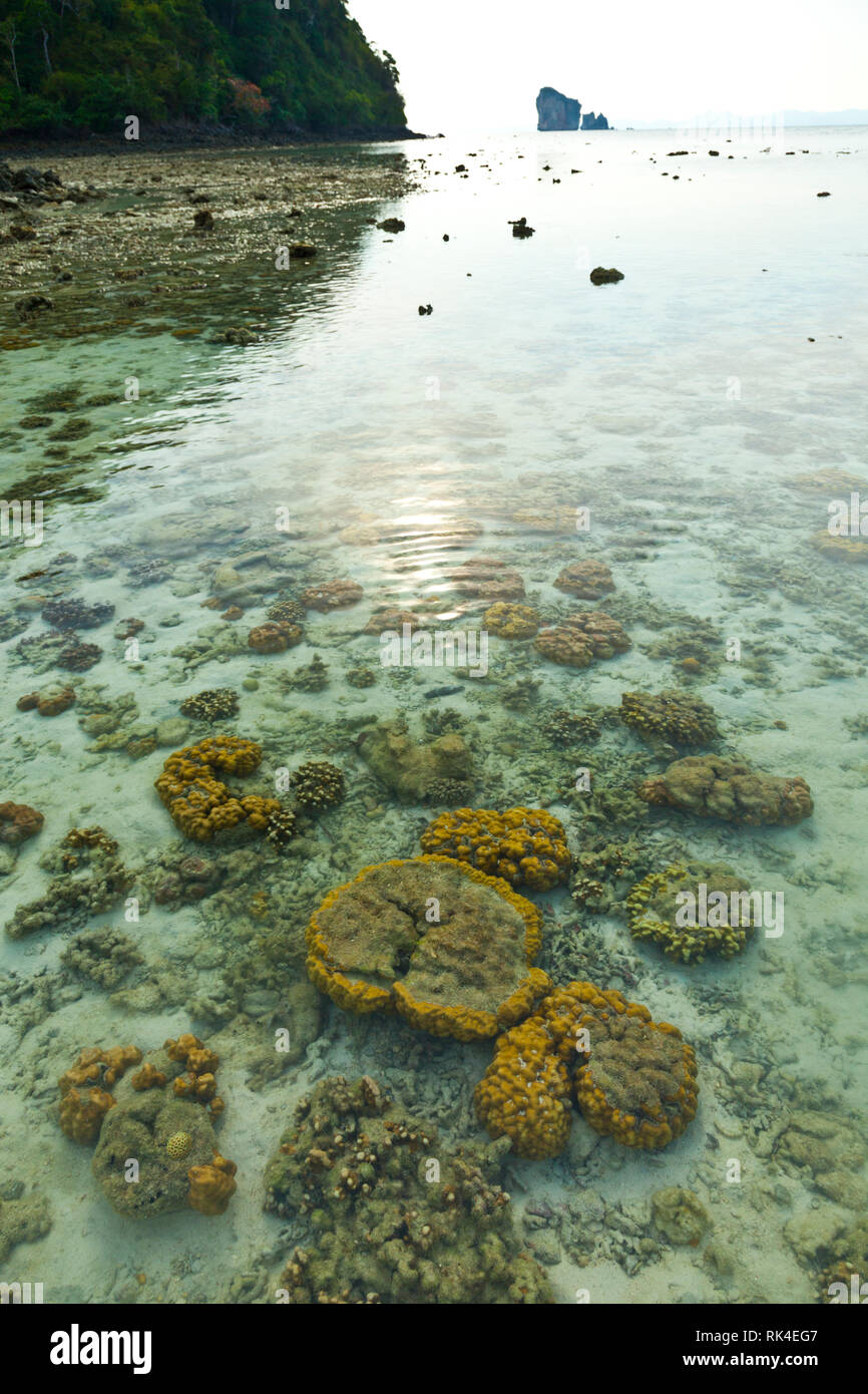 Chicken island lagoon hi-res stock photography and images - Alamy