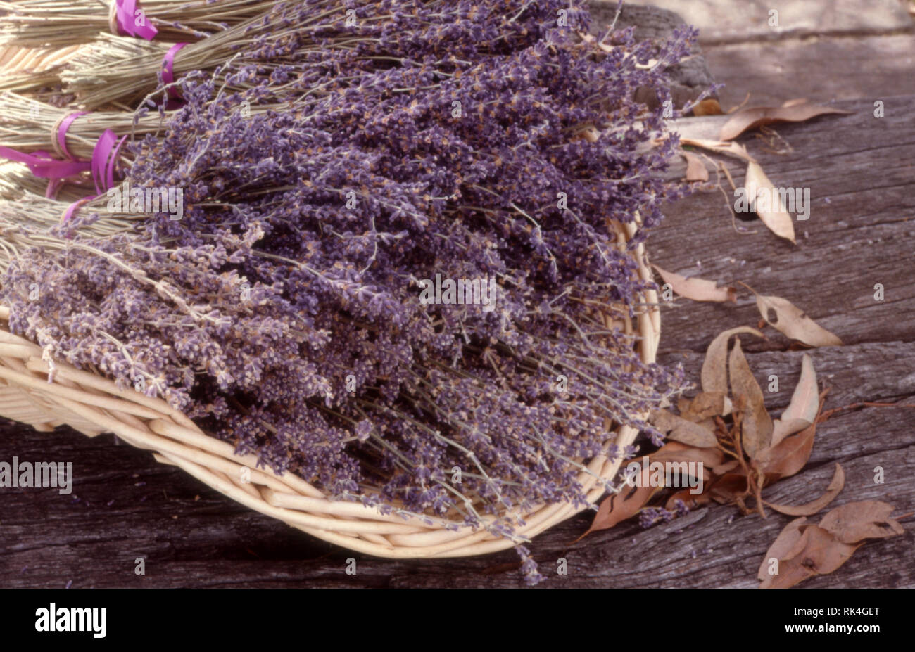 Dried Lavender Bunches High Resolution Stock Photography and Images - Alamy