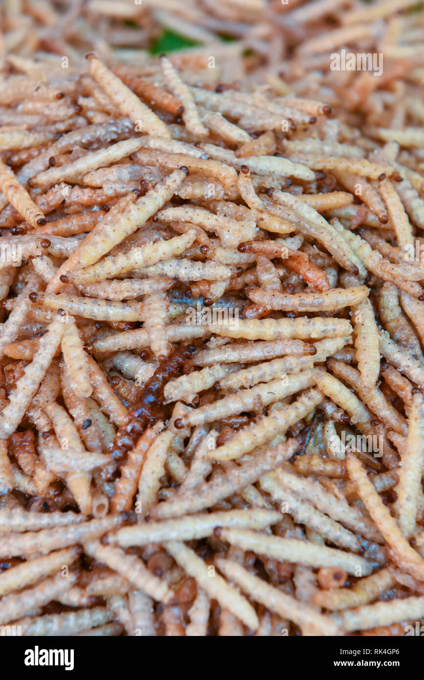 Eatable worms hi-res stock photography and images - Alamy