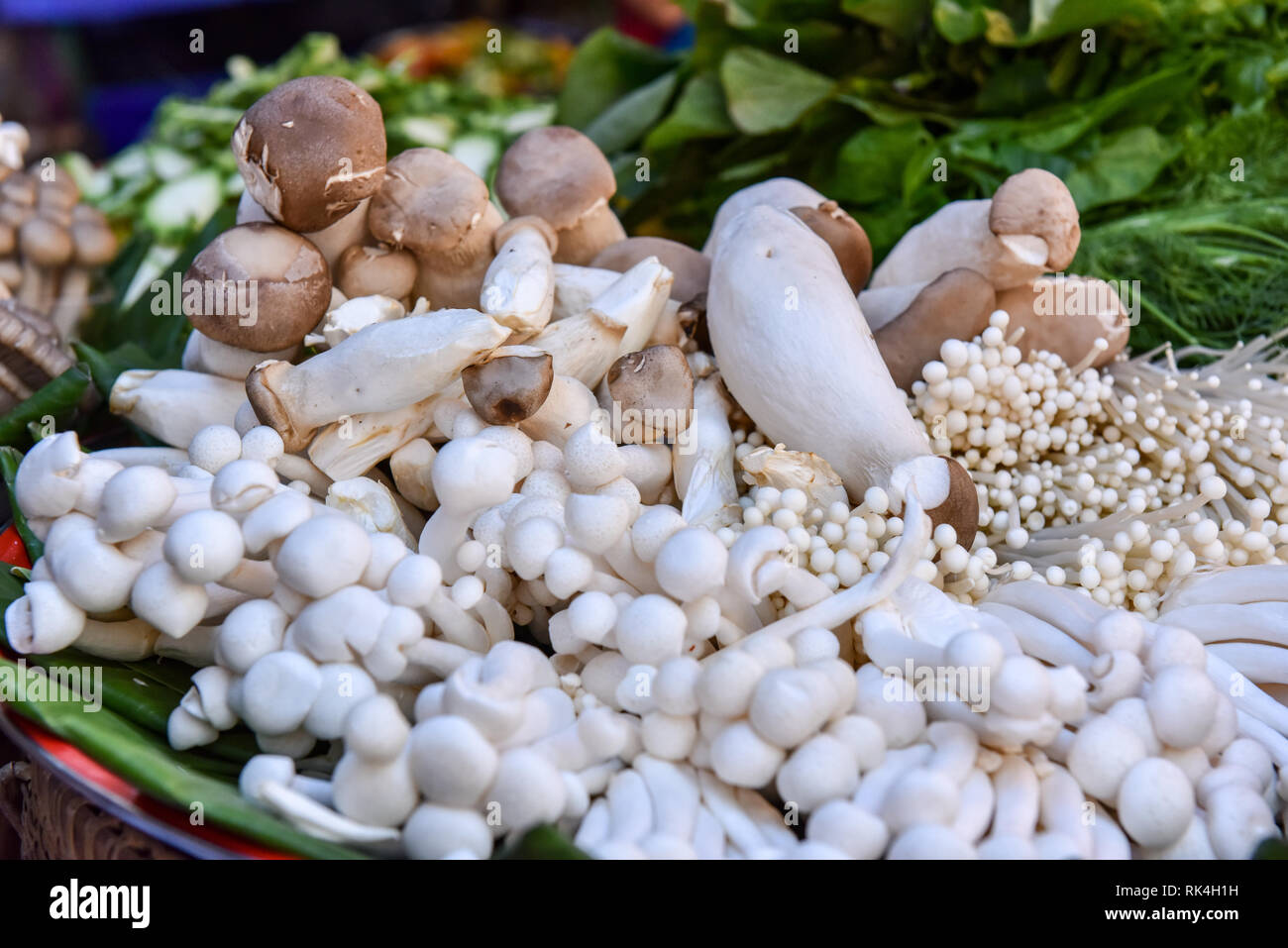Market thai thailand food mushrooms hi-res stock photography and images ...