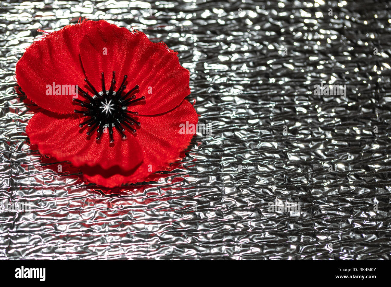 Red poppy on white background suitable for Anzac Day or Remembrance Day ...