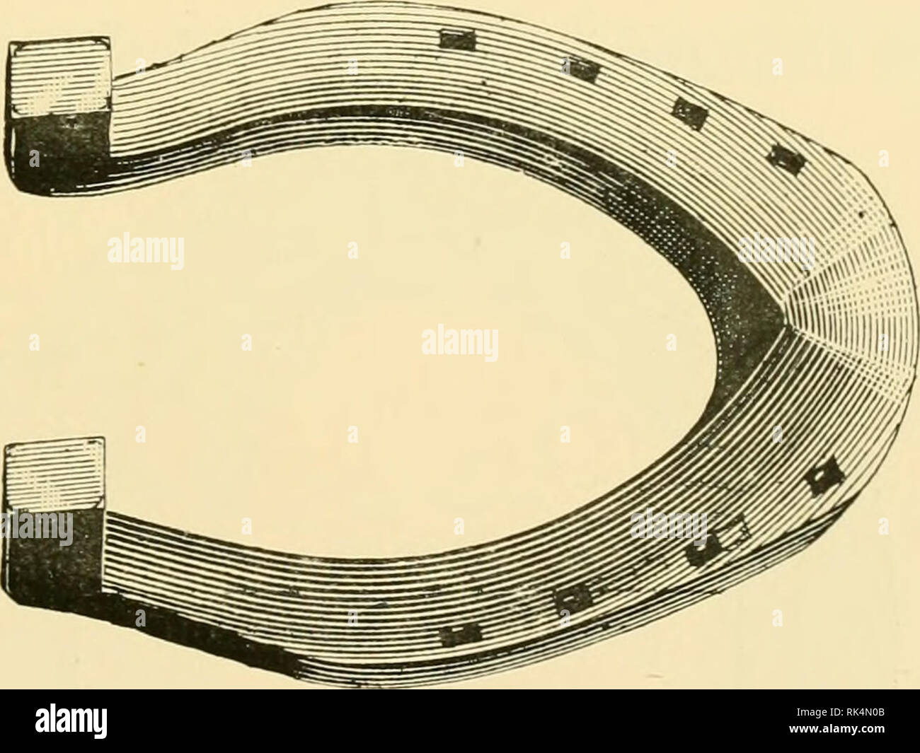 . The art of horse-shoeing. Horseshoeing; Hoofs; CHR 1905; PRO McNeil ...
