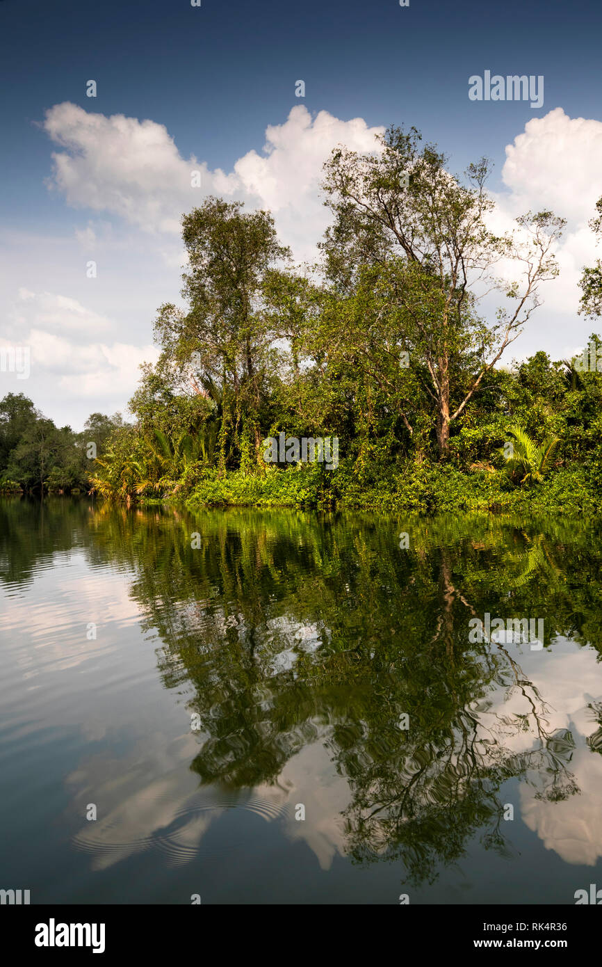 Cambodia, Koh Kong Province, Andoung Tuek, trees lining banks of Preak ...