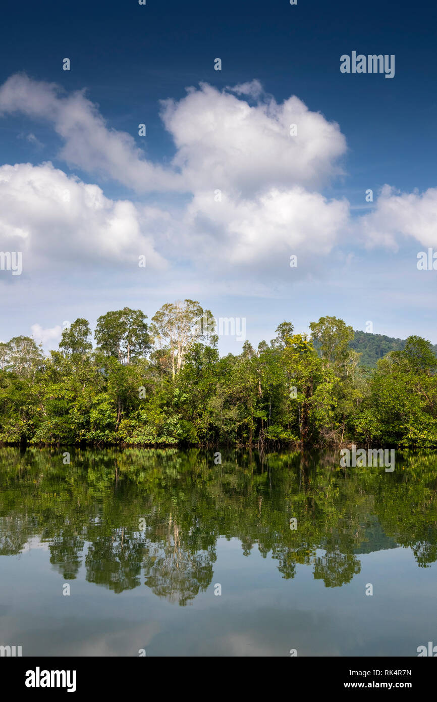 Cambodia, Koh Kong Province, Andoung Tuek, mangrove lined banks of ...