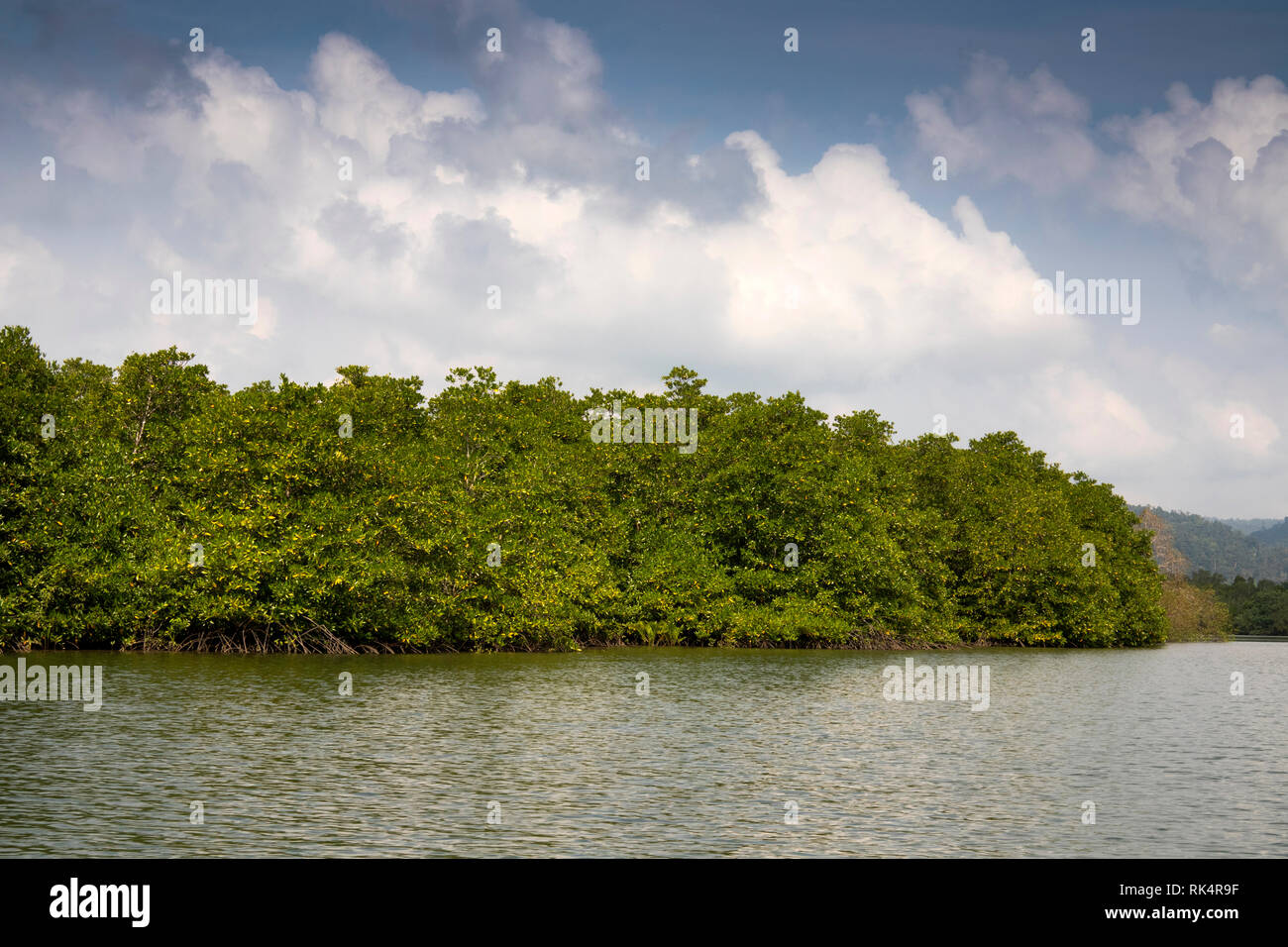 Cambodia, Koh Kong Province, Andoung Tuek, mangrove lined banks of ...