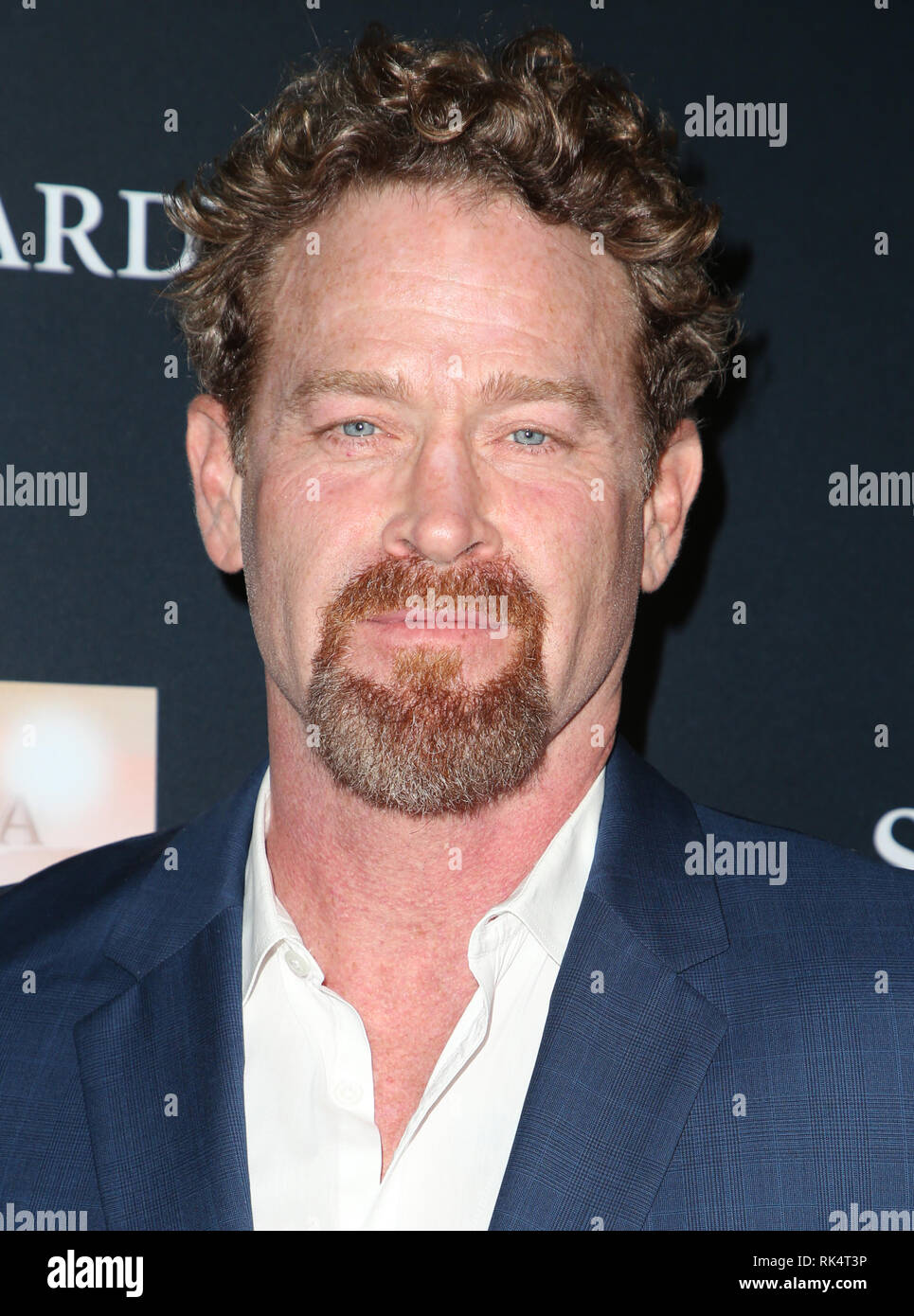 Premiere Of Cinedigm Entertainment Group's "SGT. Will Gardner ...