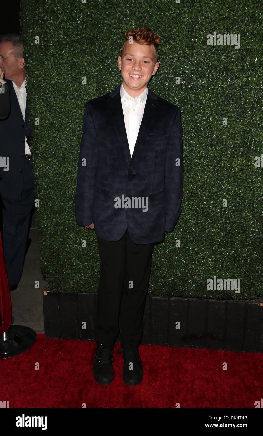 Premiere Of Cinedigm Entertainment Group's "SGT. Will Gardner ...