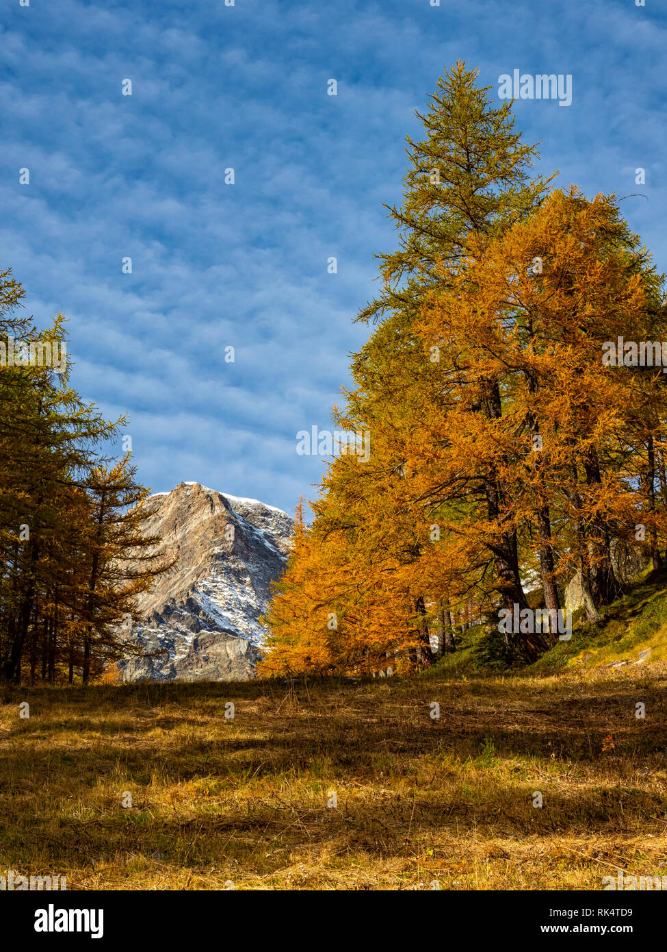 Autumn in the italian alps Stock Photo - Alamy